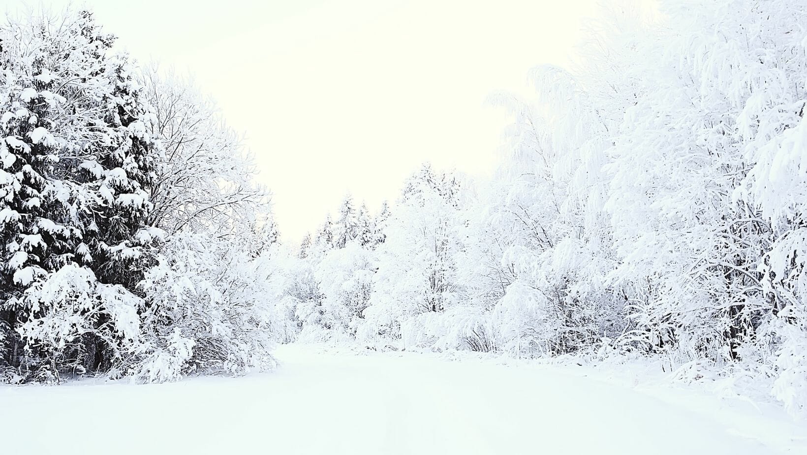 Facts About Snow - 25 Fun Snow Facts That Will WOW You!