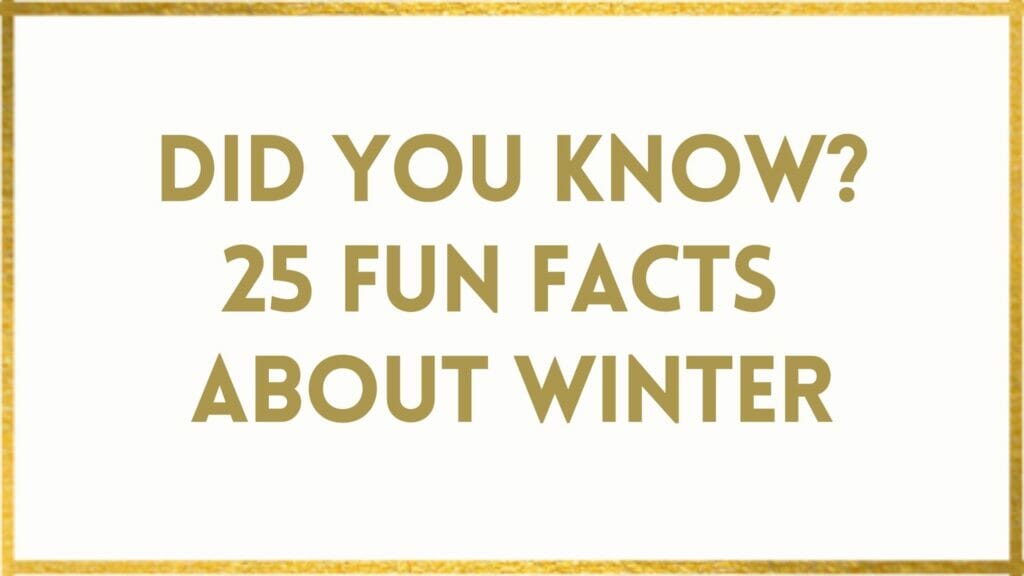 Facts About Winter - 25 Fun Winter Facts To WOW You!